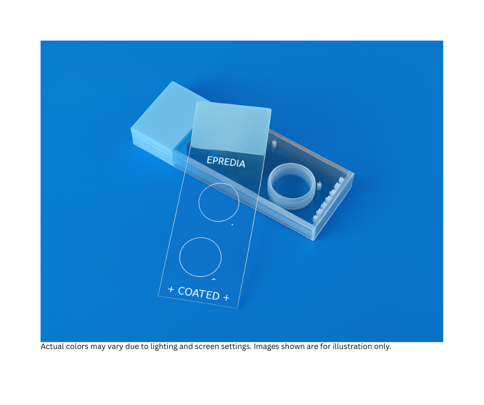 Double Cytoslides, Back Circle Well, Box/100 Slides