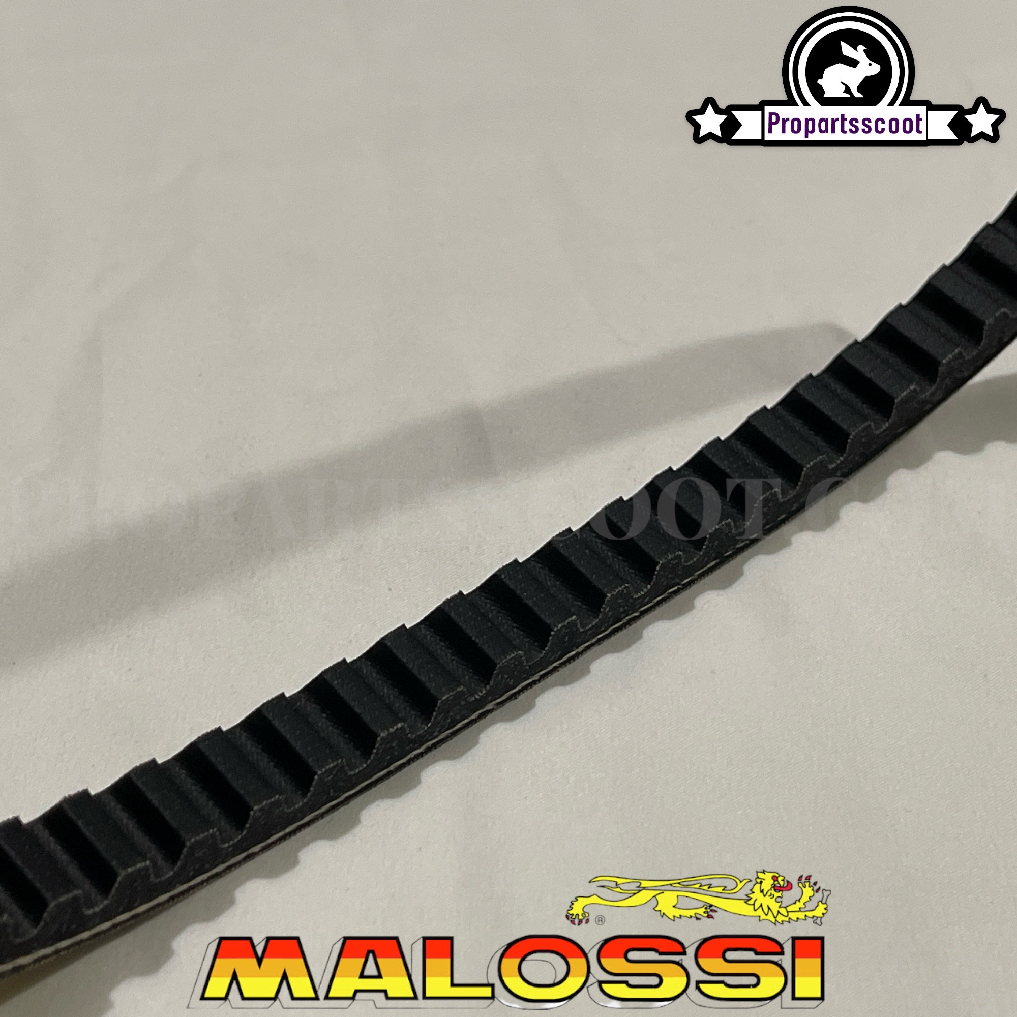 Drive Belt Malossi (X-Special) — (Minarelli Long)