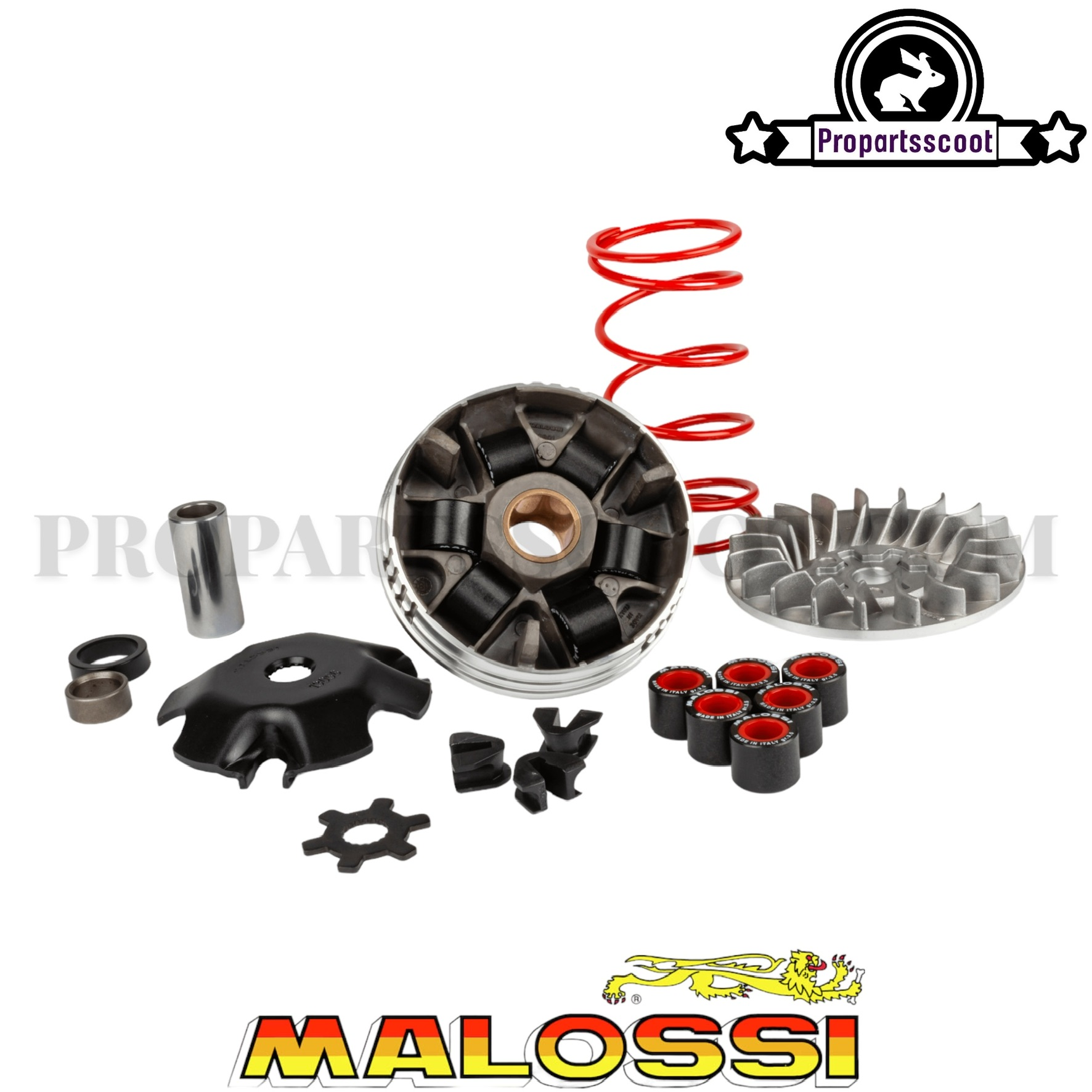 Variator Malossi MHR Overrange 2005 for Minarelli Horizontal/Vertical