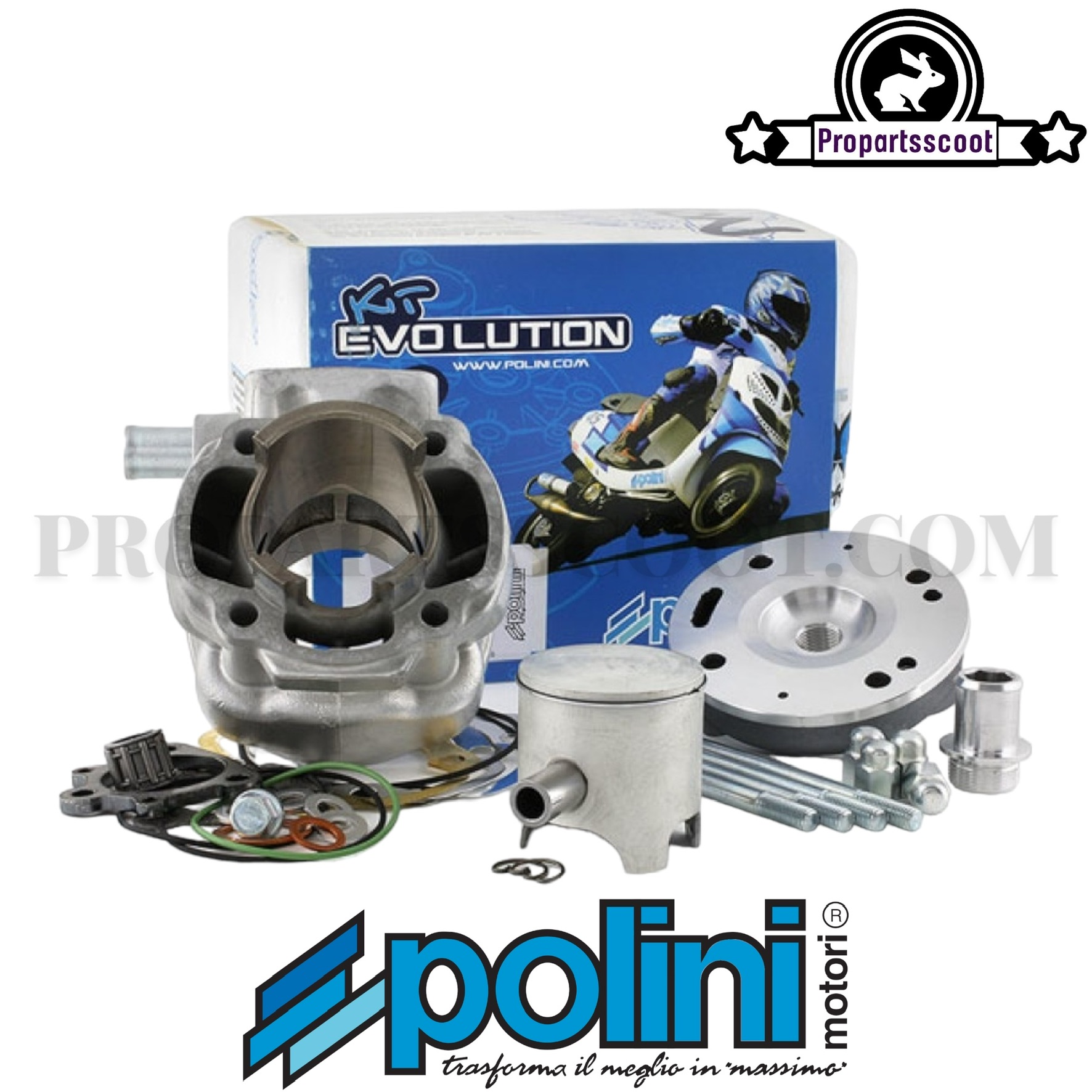 Cylinder Kit Polini Big Evolution 70cc 12mm For Minarelli Horizontal Lc