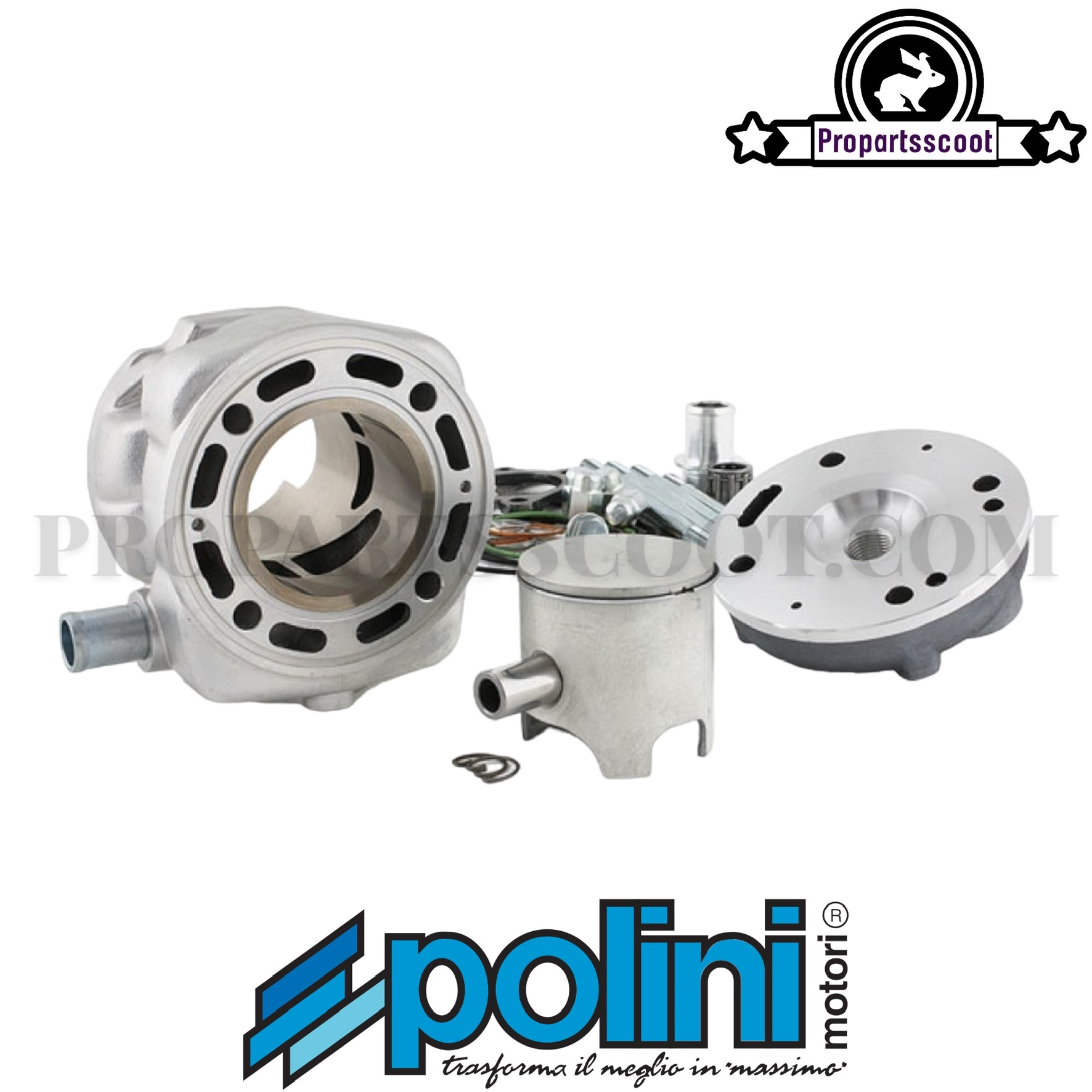 Cylinder Kit Polini Big Evolution 70cc 12mm For Minarelli Horizontal Lc