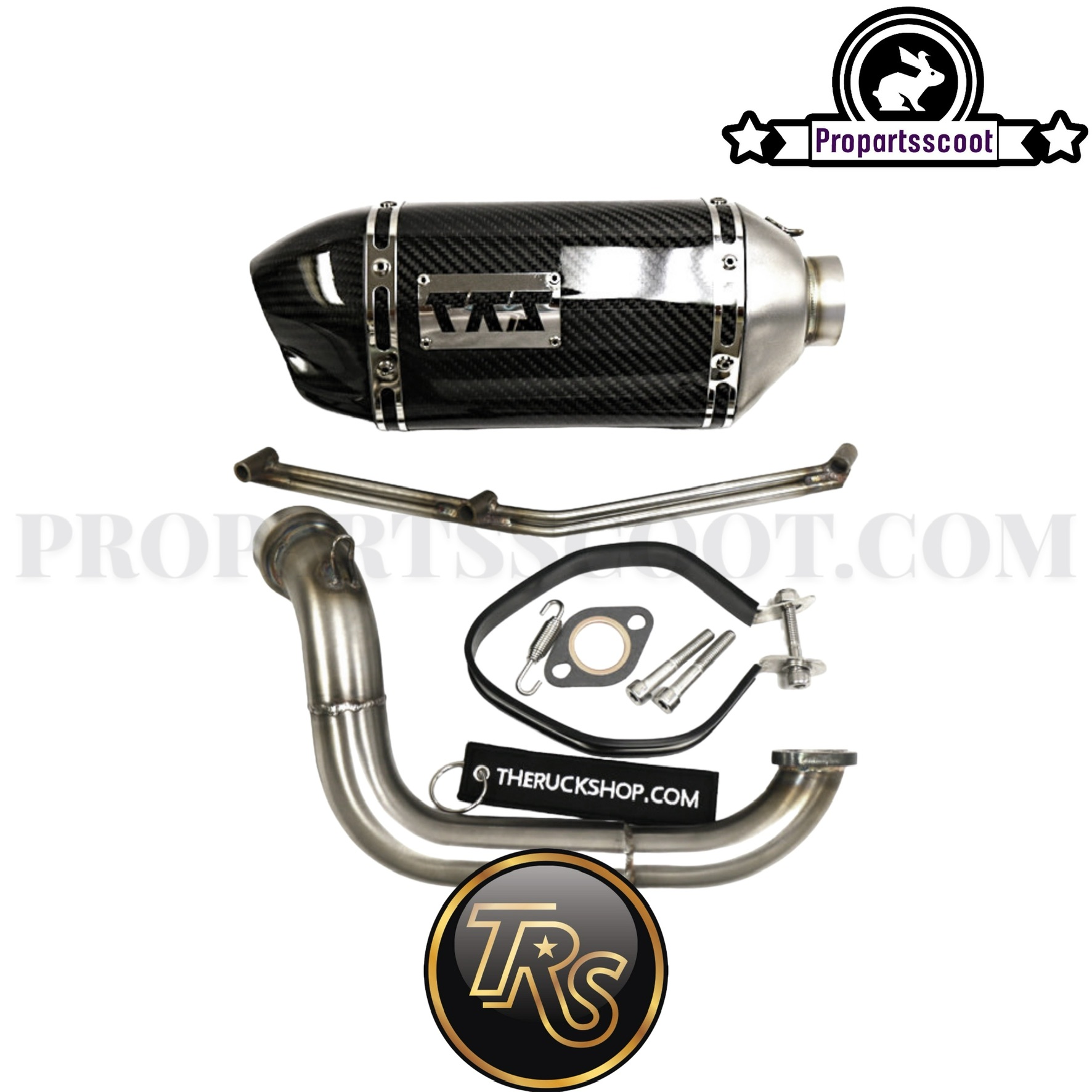 Exhaust System TRS Full Carbon Dual Outlet for Honda Ruckus GY6 125 ...