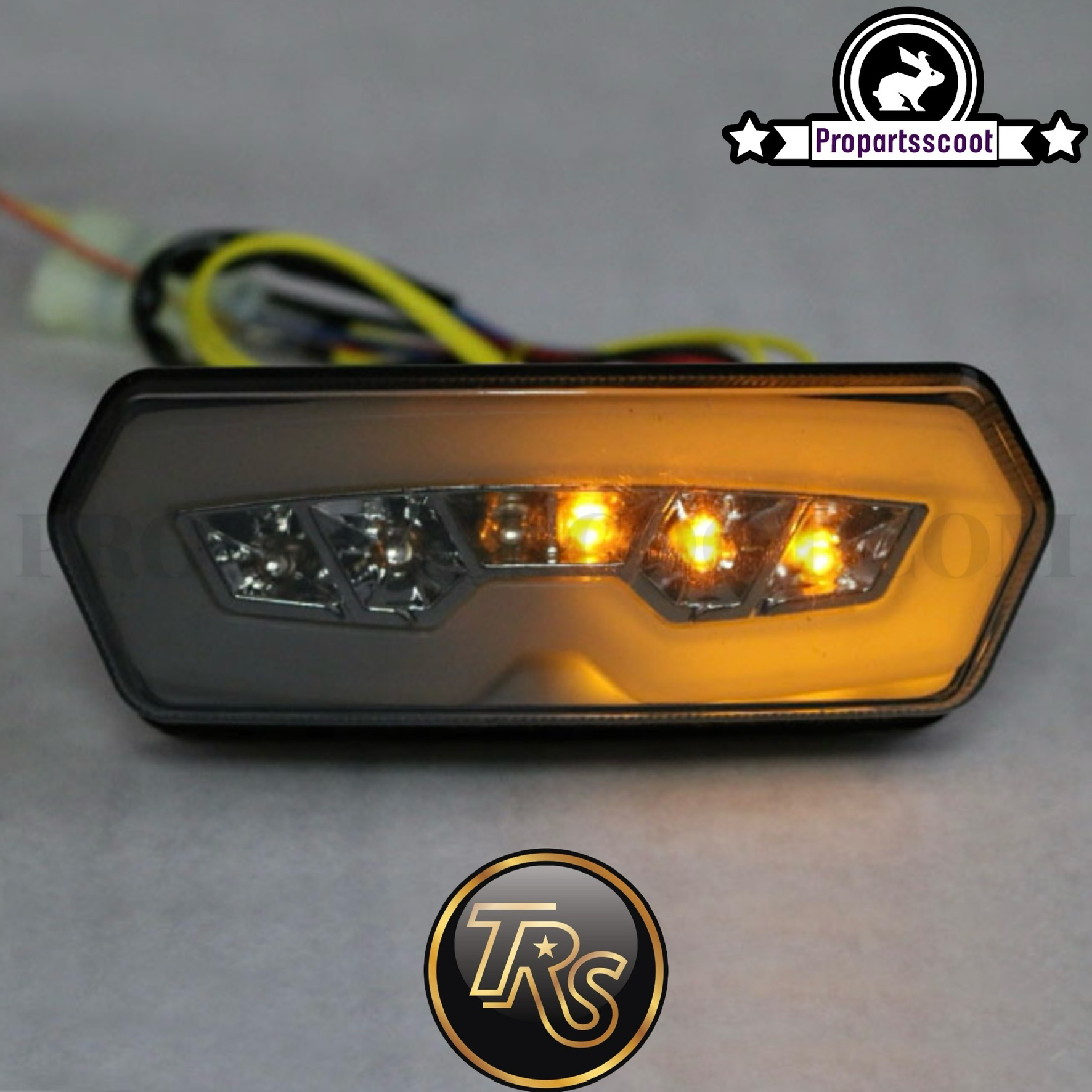 Tail Light with Integrated Blinker TRS for Honda Grom MSX 125cc 4T