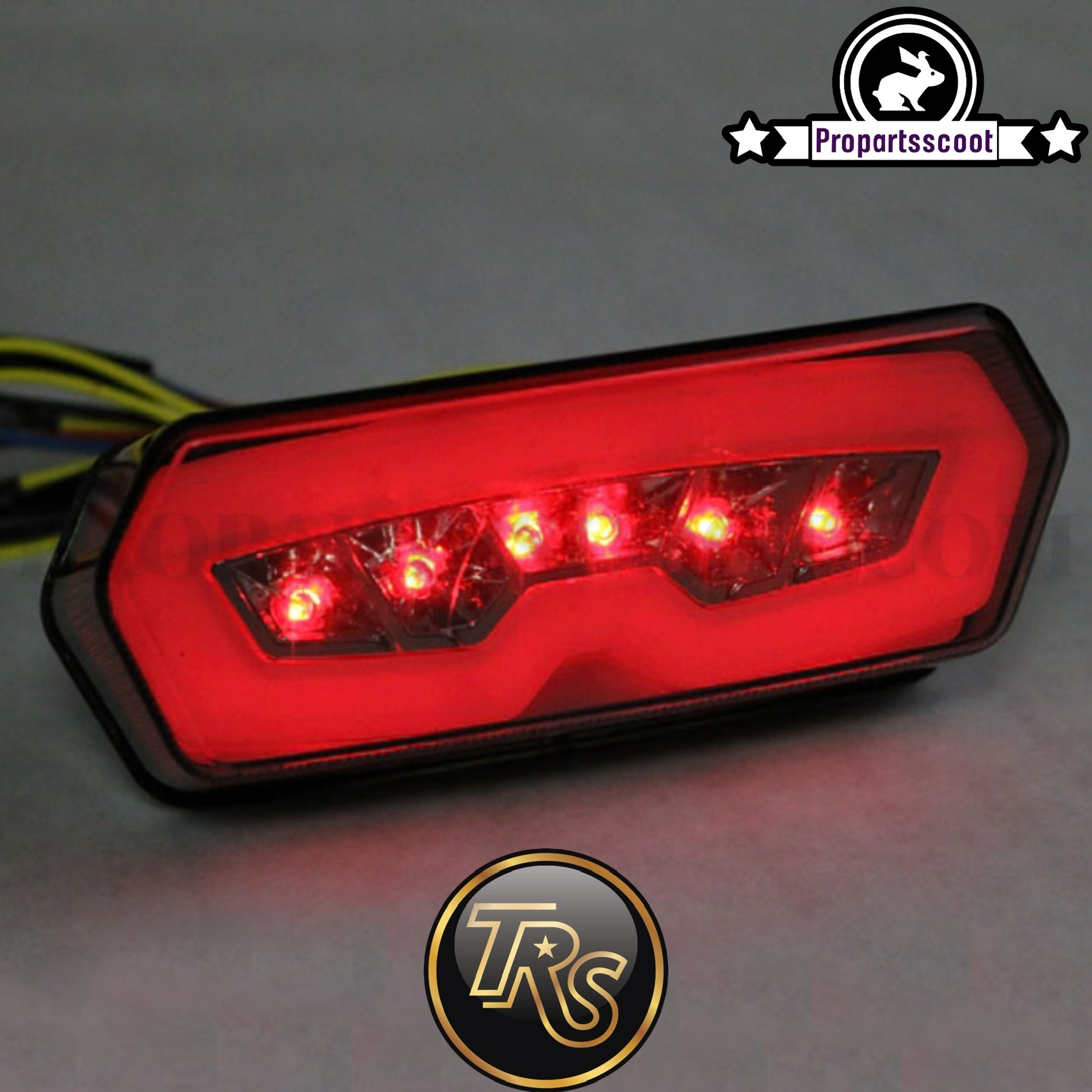 Tail Light with Integrated Blinker TRS for Honda Grom MSX 125cc 4T