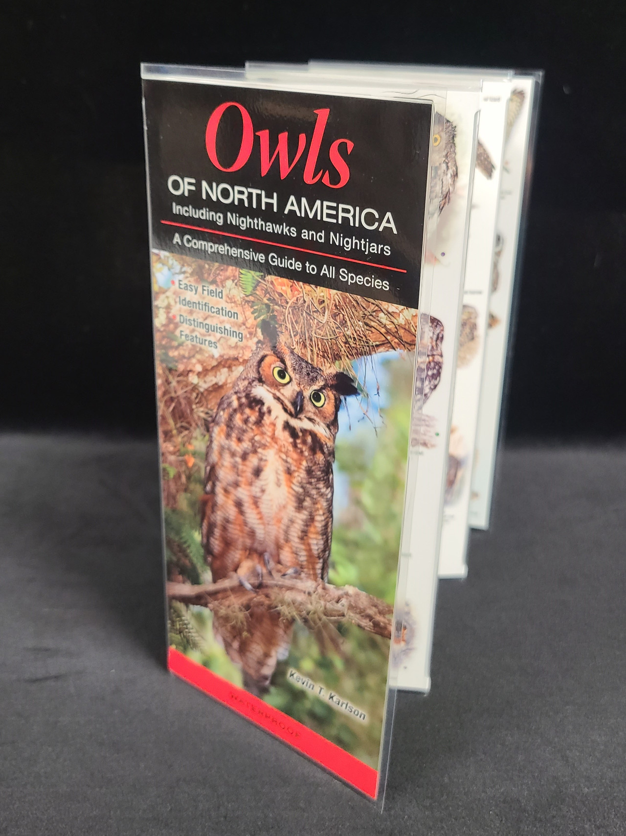 Guide to Owls of N. America - Ponce Inlet Lighthouse Locker