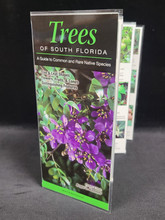 Guide to Trees of S. Florida - Ponce Inlet Lighthouse Locker