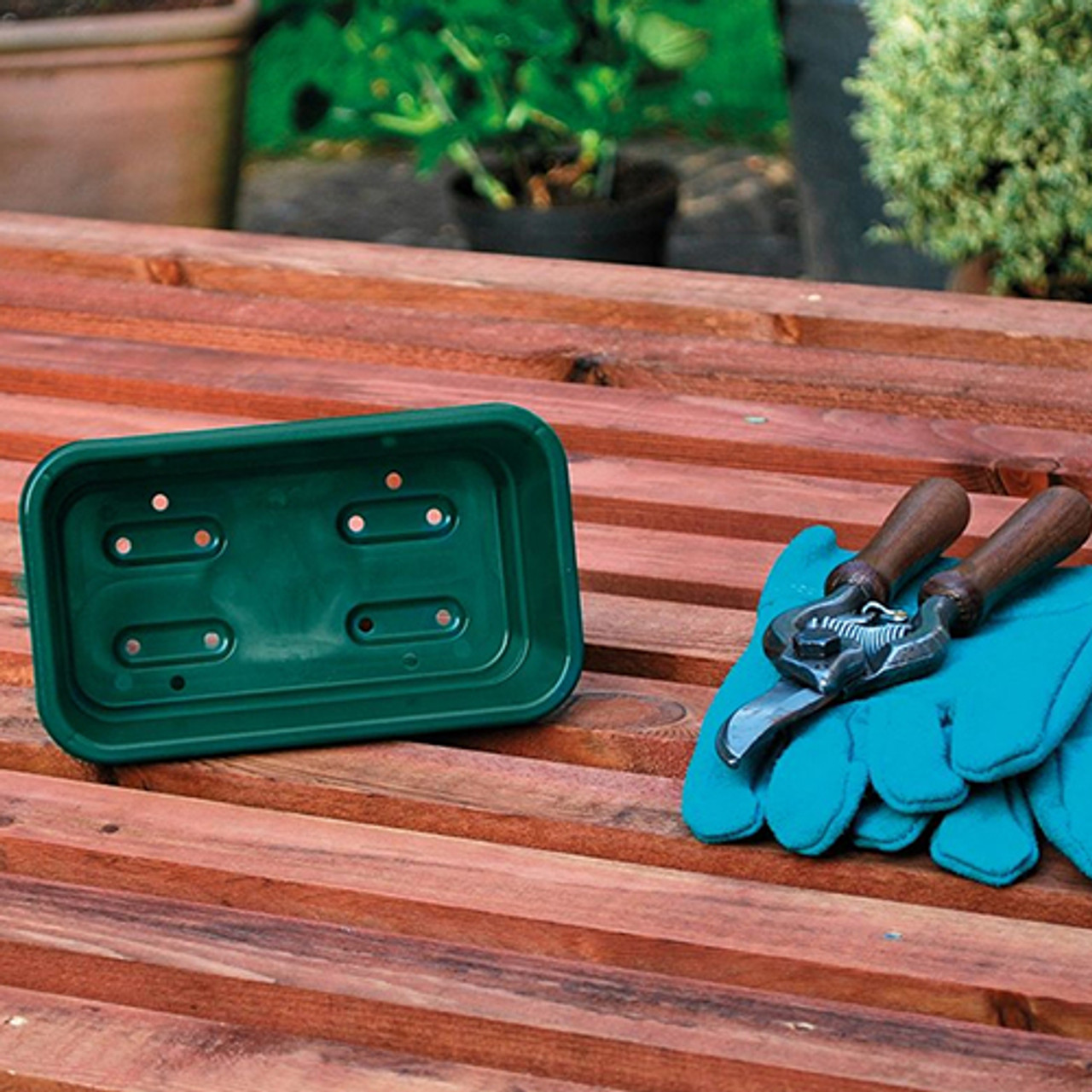 20 Cells Natural Rubber Seed Tray - Mr Middleton Garden Shop