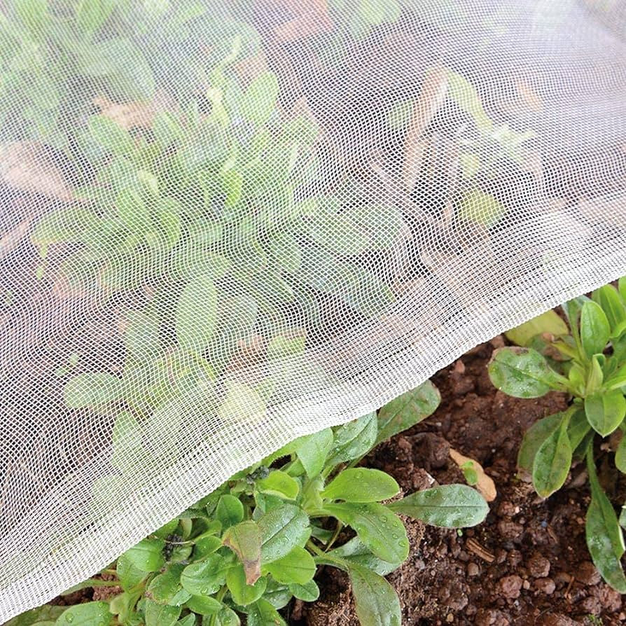 Insect Mesh Protection Netting - Mr Middleton Garden Shop