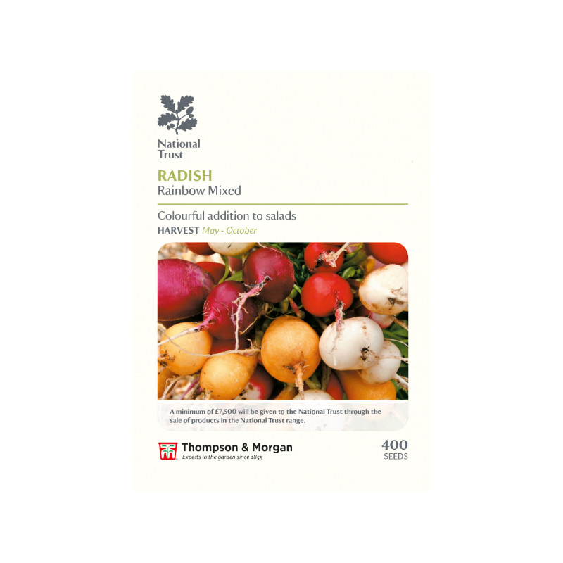 Radish Rainbow Mixed (National Trust Range) - Mr Middleton Garden Shop