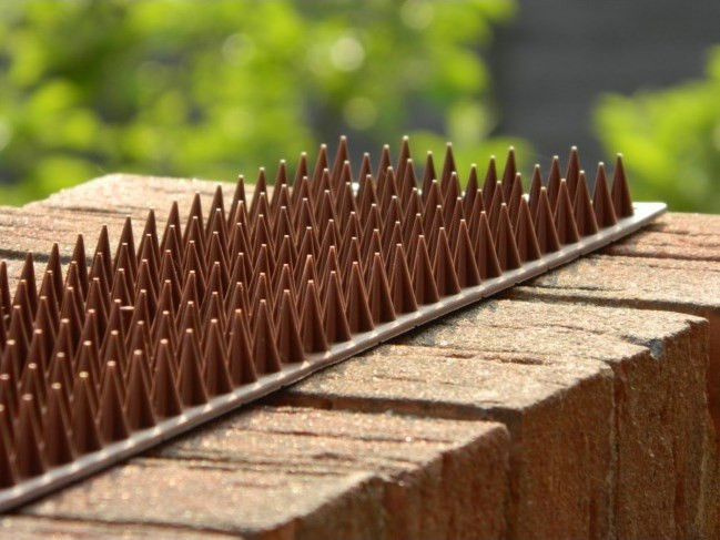 Fence Guard - Mr Middleton Garden Shop