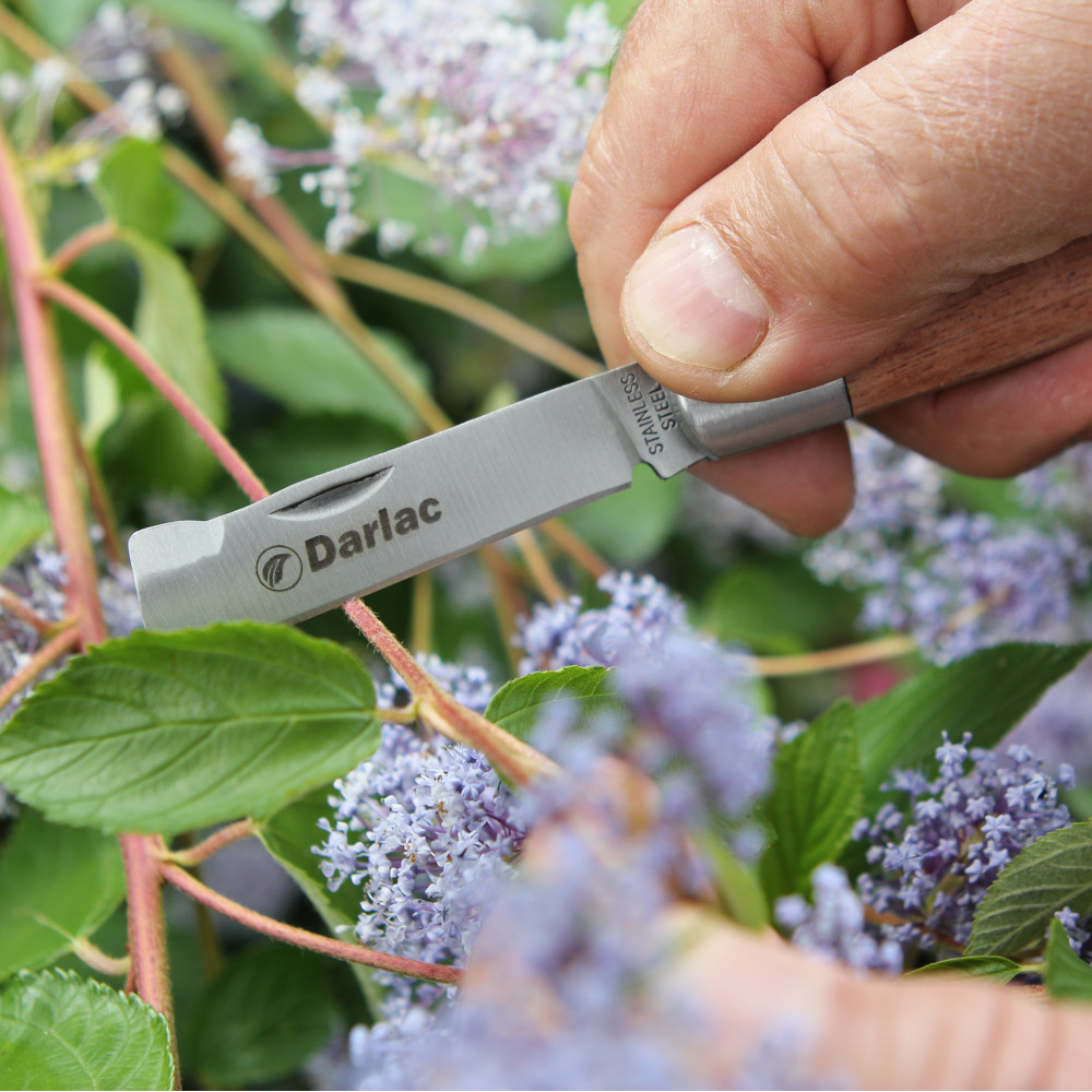 Budding Knife - Mr Middleton Garden Shop