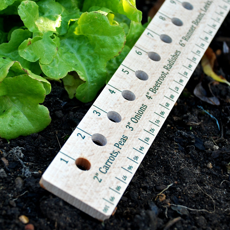 Retro Style Seed And Plant Spacing Rule - Mr Middleton Garden Shop