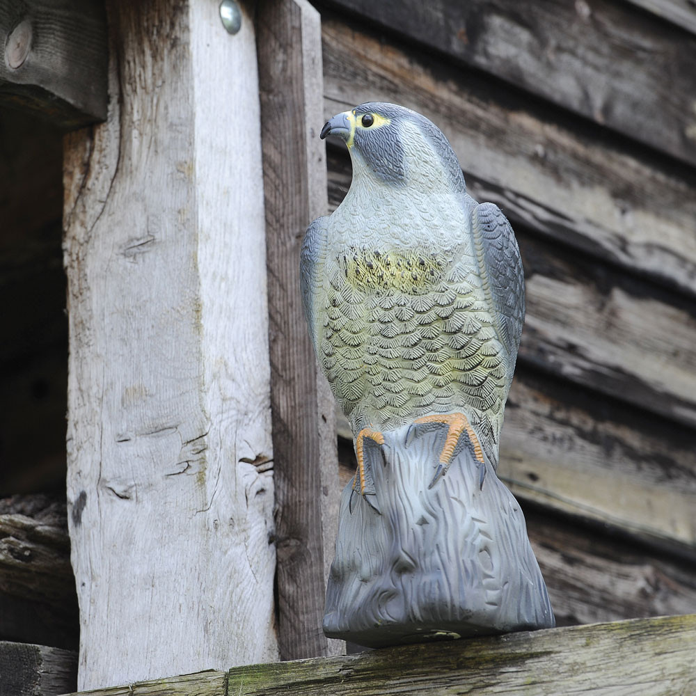 Falcon Decoy (STV942) - Mr Middleton Garden Shop