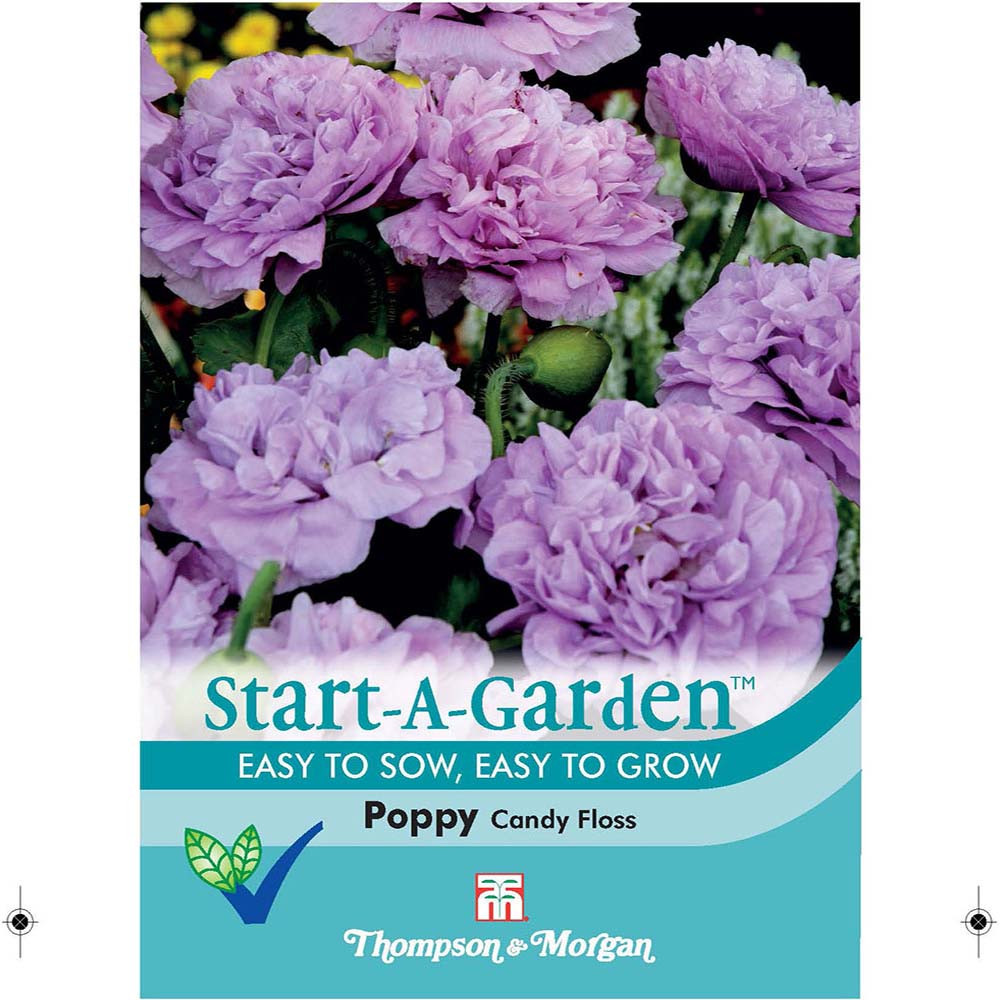 Poppy Candy Floss (Start a garden range) - Mr Middleton Garden Shop
