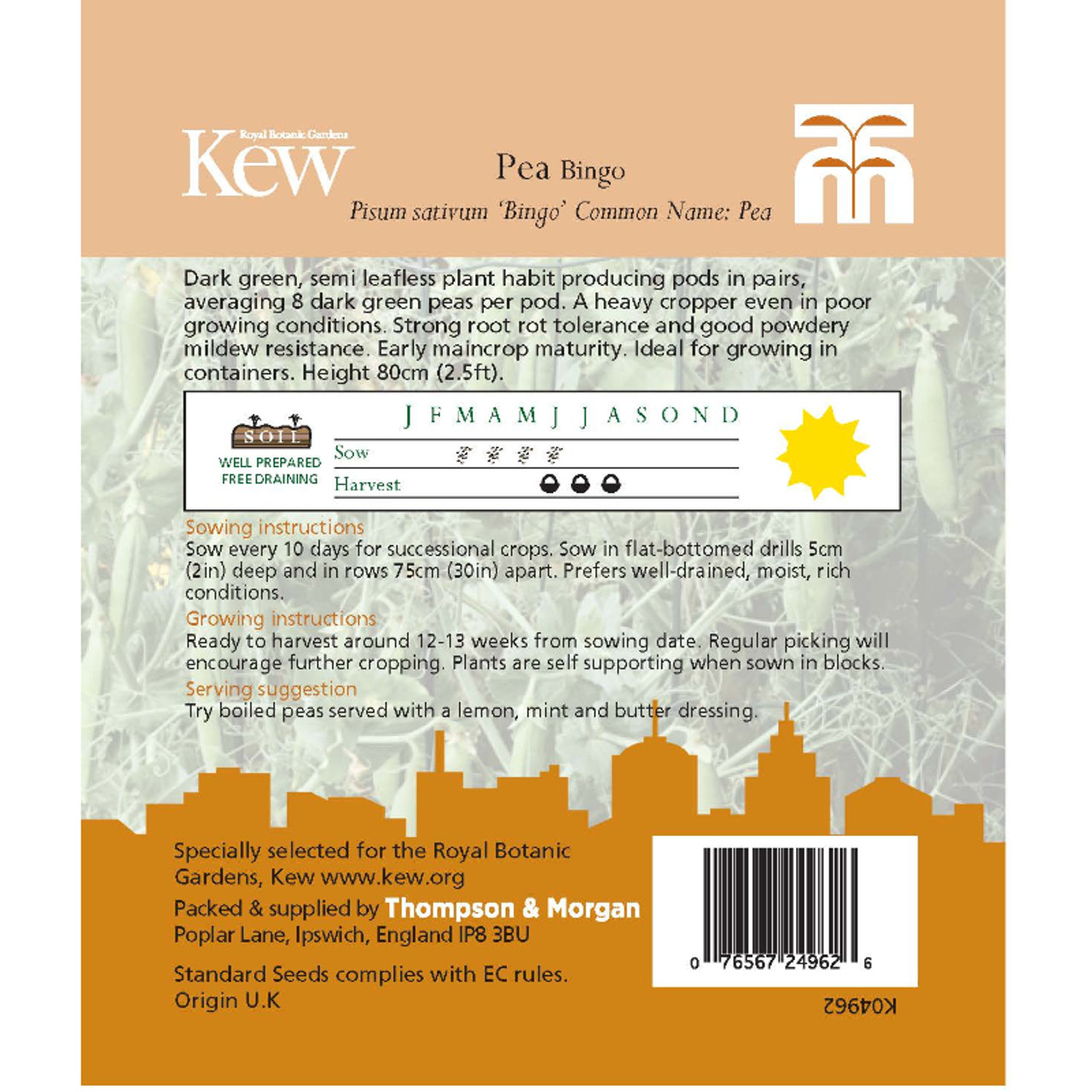 Pea Bingo (Kew) - Mr Middleton Garden Shop