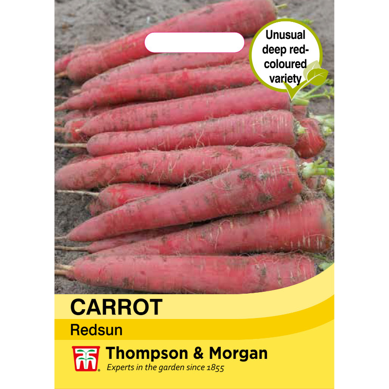 Carrot Redsun - Mr Middleton Garden Shop