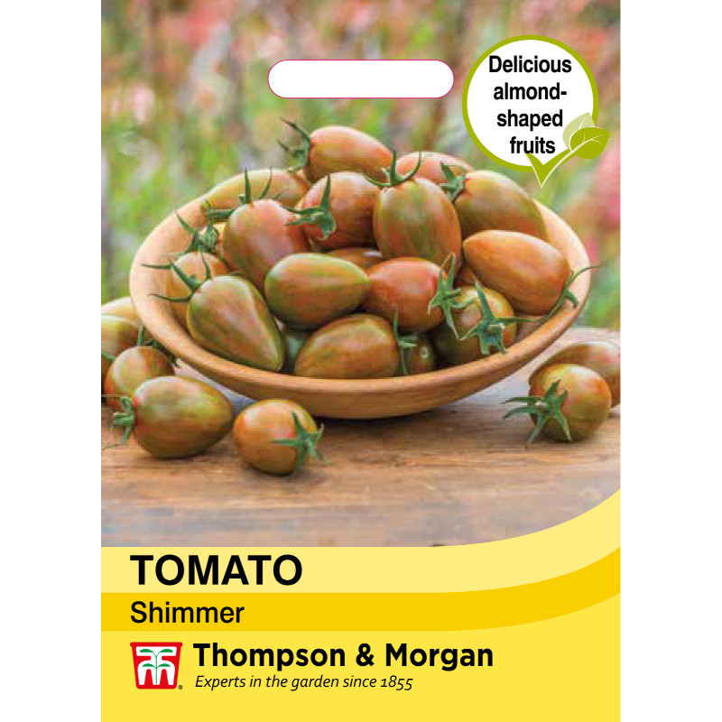 Tomato Shimmer - Mr Middleton Garden Shop