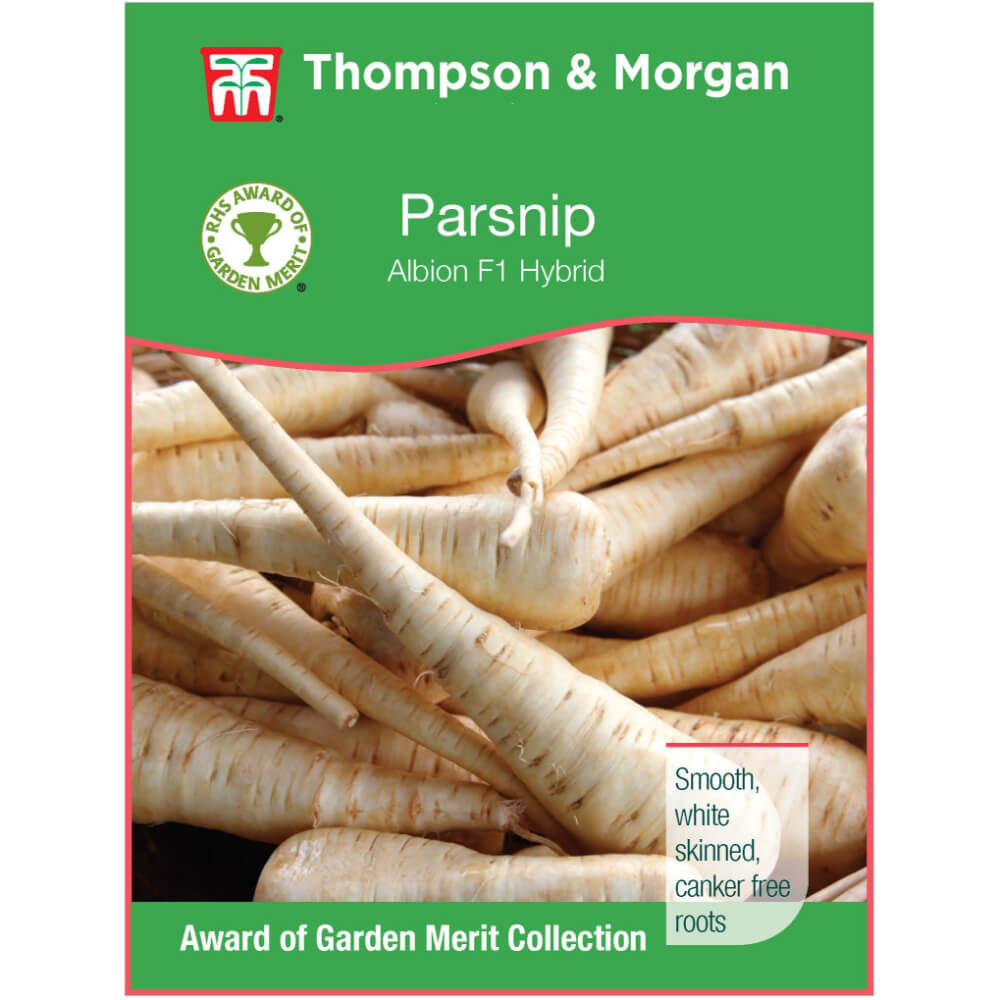 Parsnip Albion F1 Hybrid (AGM Range) - Mr Middleton Garden Shop