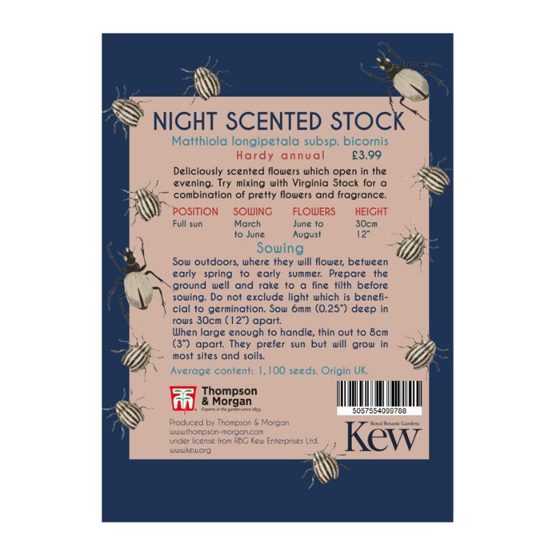 Stock 'Night Scented' - Kew Pollination Collection - Mr Middleton ...