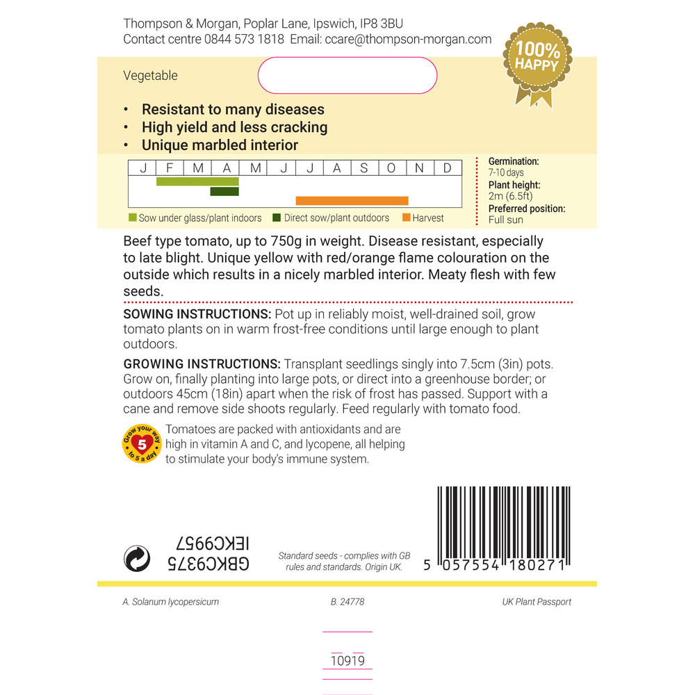 Tomato Buffalosun F1 - Mr Middleton Garden Shop