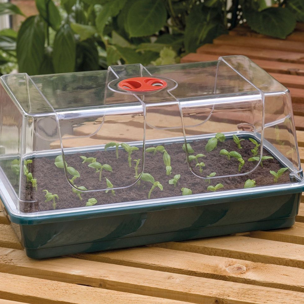 Large High Dome Propagator - Mr Middleton Garden Shop