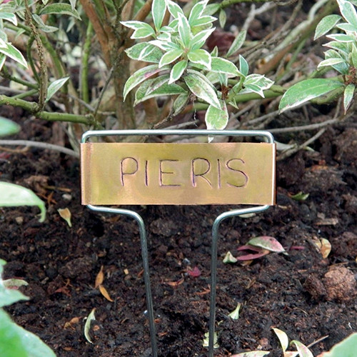 Copper Tee Labels Pack Of 5 - Mr Middleton Garden Shop