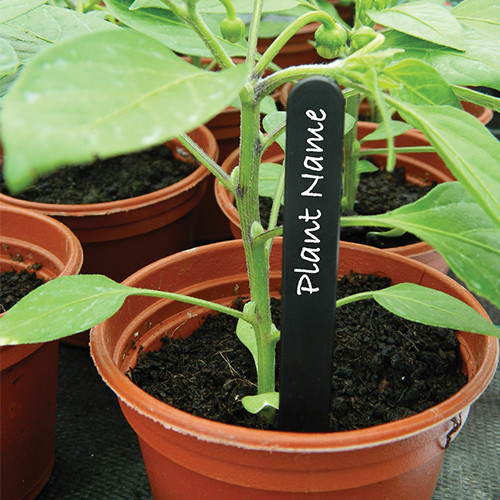 Black Plant Labels - Mr Middleton Garden Shop