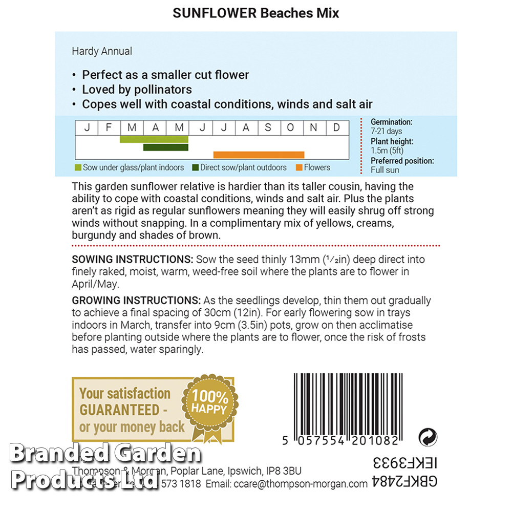 Sunflower 'Beaches Mix' - Mr Middleton Garden Shop