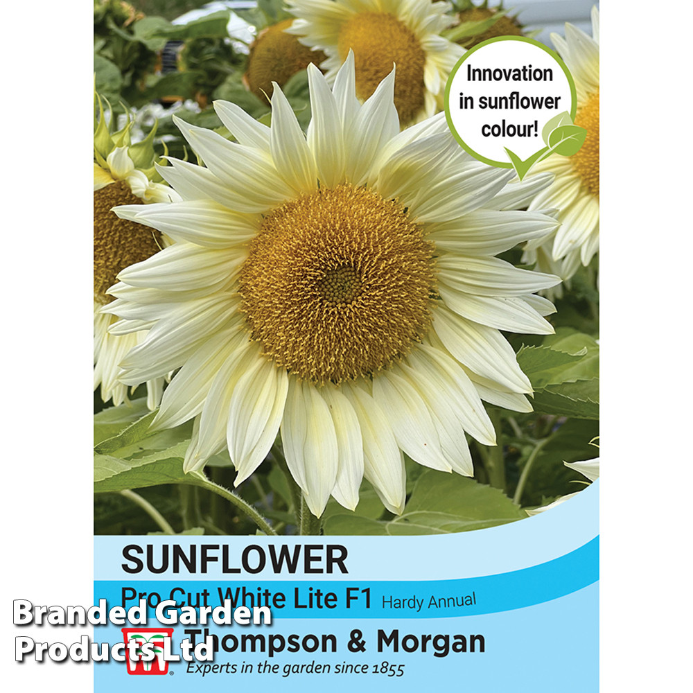 Flower Seeds - Mr Middleton Garden Shop