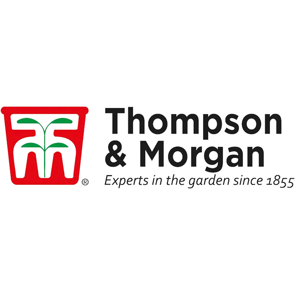 Thompson & Morgan Seeds Products - Mr Middleton Garden Shop
