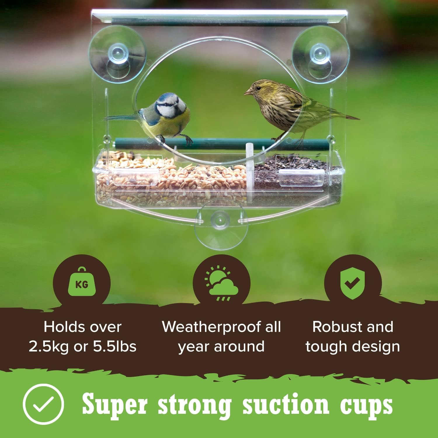 Fluffy Tail Café Squirrel Feeder - Mr Middleton Garden Shop