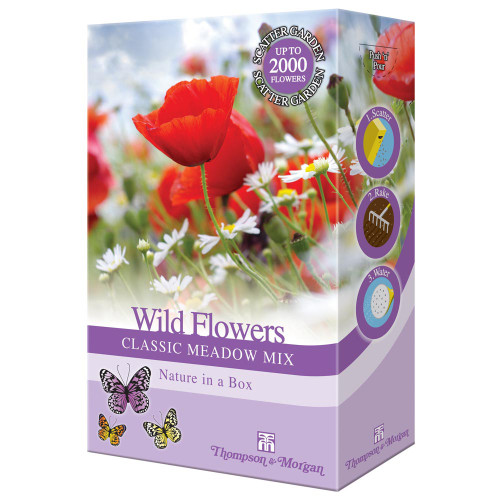 Wildflower Meadow Mix - Mr Middleton Garden Shop