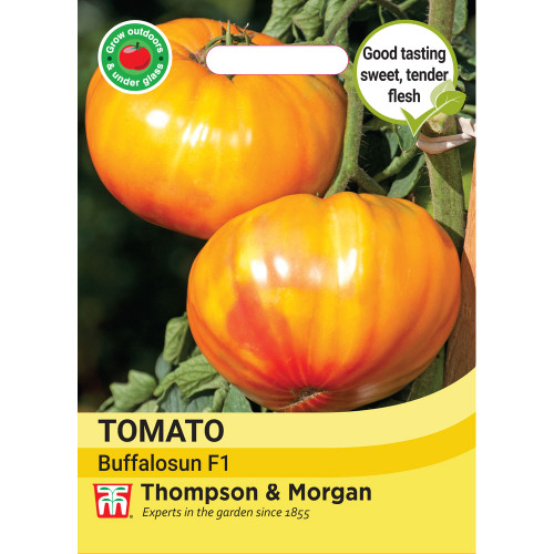 Tomato Buffalosun F1 - Mr Middleton Garden Shop