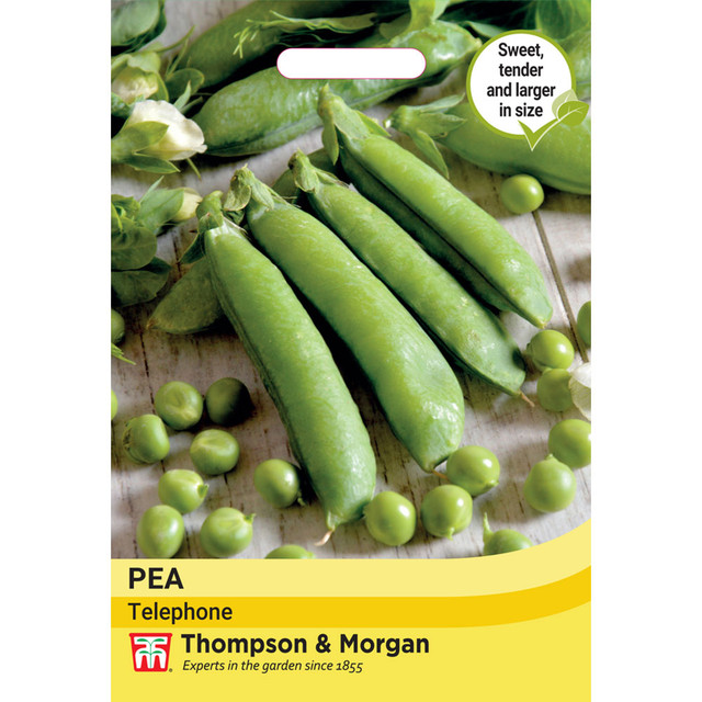 Pea Hurst Green Shaft - Mr Middleton Garden Shop