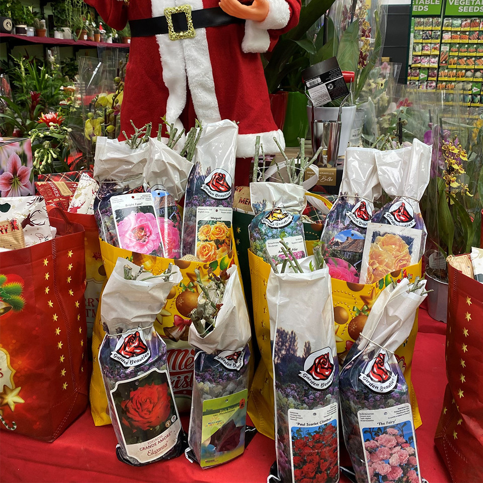 Mr. Middleton’s Santa Rose Sack - Mr Middleton Garden Shop