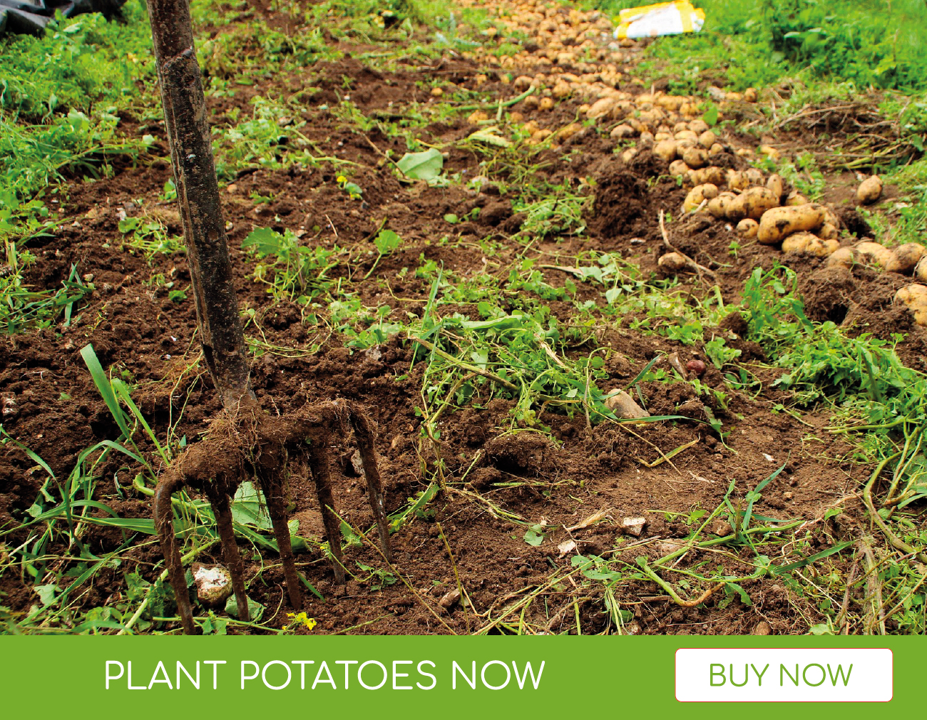 Mr Middleton Garden Shop Dublin