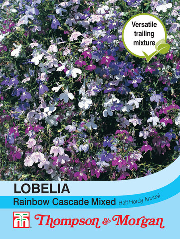 Lobelia (Trailing) Rainbow Cascade Mixed - Mr Middleton Garden Shop