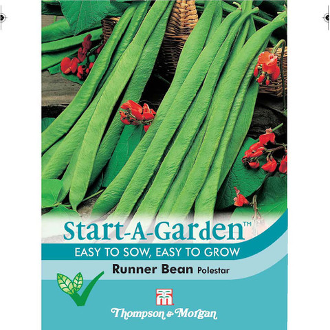 Runner Bean Polestar (Start a garden range) - Mr Middleton Garden Shop