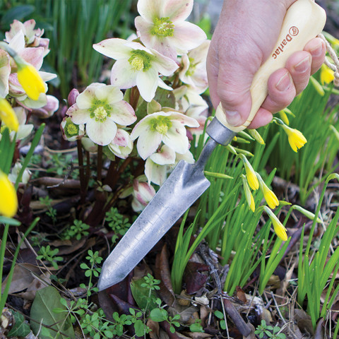 Rockery Trowel Bamboo - Mr Middleton Garden Shop