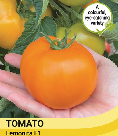 Tomato Lemonita F1 - Mr Middleton Garden Shop