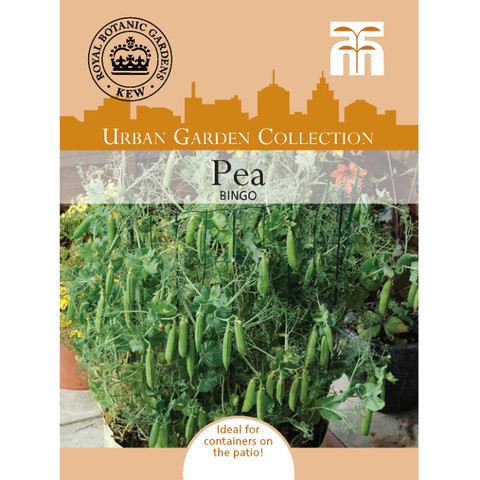Pea Bingo (Kew) - Mr Middleton Garden Shop