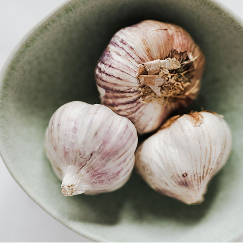Garlic Rhapsody Wight - Mr Middleton Garden Shop