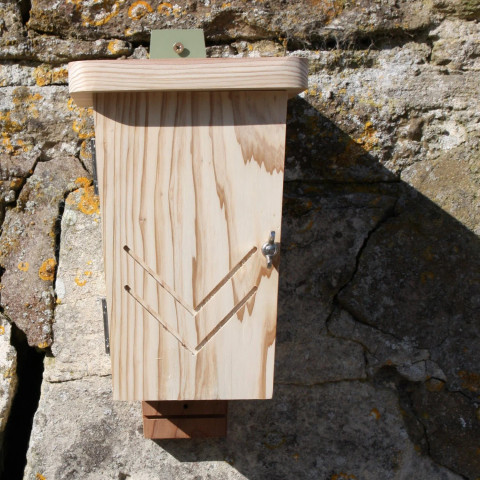Original Bat Box - Mr Middleton Garden Shop