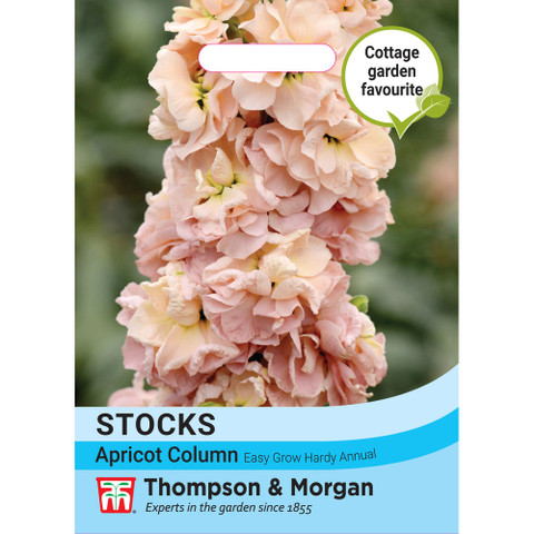 Stock Apricot Column - Mr Middleton Garden Shop