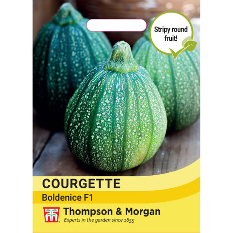 Courgette Boldenice F1 - Mr Middleton Garden Shop
