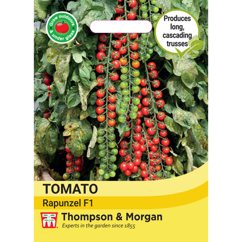 Tomato 'Rapunzel' F1 - Mr Middleton Garden Shop