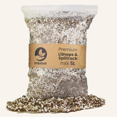 Lithops & Split Rock Mix 3L - Mr Middleton Garden Shop