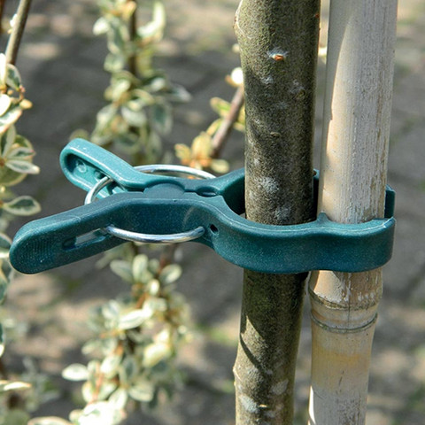 Large Spring Plant Clips (5) - Mr Middleton Garden Shop
