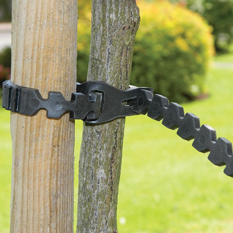 Rose Ties (2) 32cm (12.5") - Mr Middleton Garden Shop