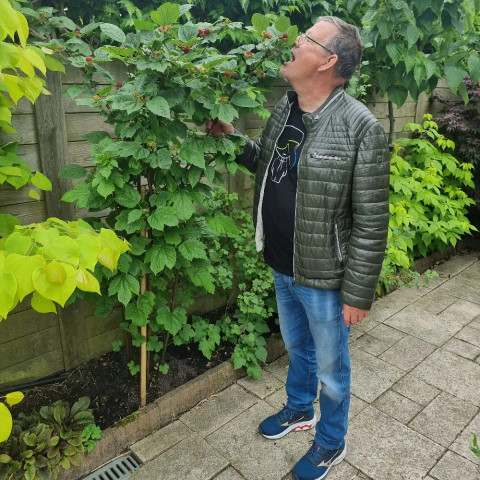 Raspberry Tower – Grow Delicious Raspberries on a Tree! - Mr Middleton ...